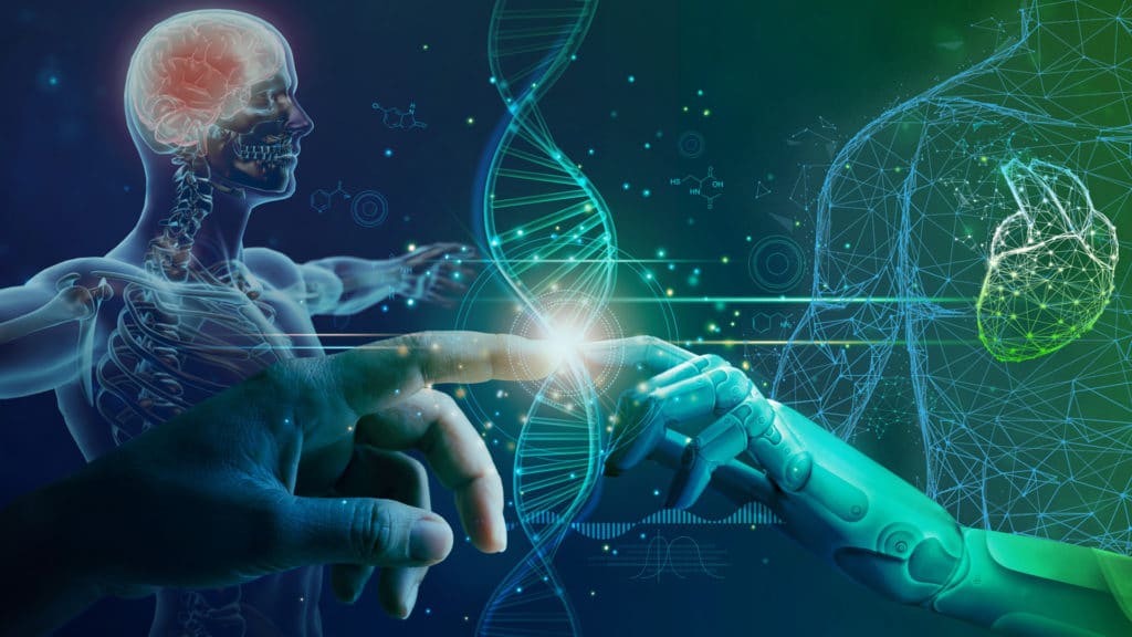 Bioelectromagnetic Simulation with CST Studio Suite